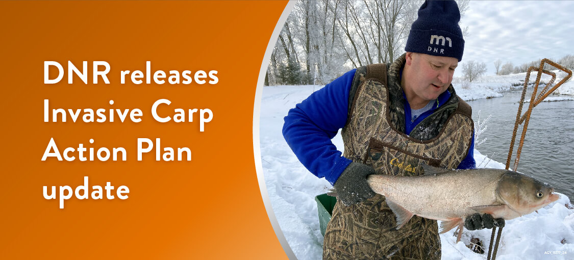 Home | Minnesota DNR