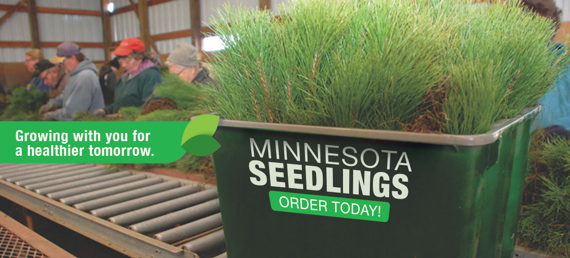 Home - Minnesota DNR - MN Department of Natural Resources